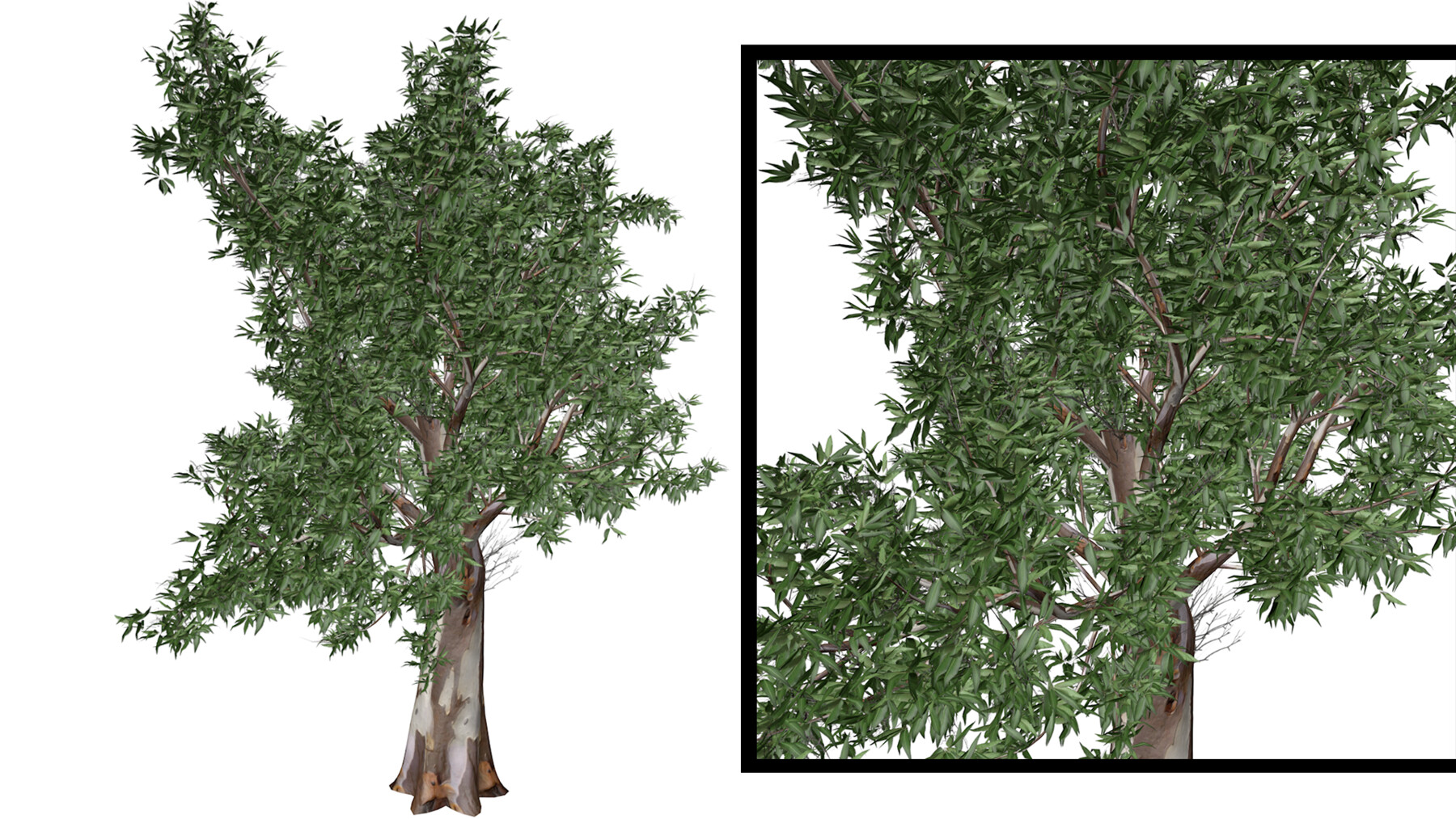ArtStation - Red Gum Tree #03 - High Poly Tree (3D Model) | Game Assets