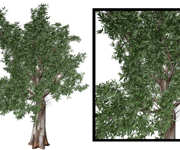 ArtStation - Red Gum Tree #03 - High Poly Tree (3D Model) | Game Assets
