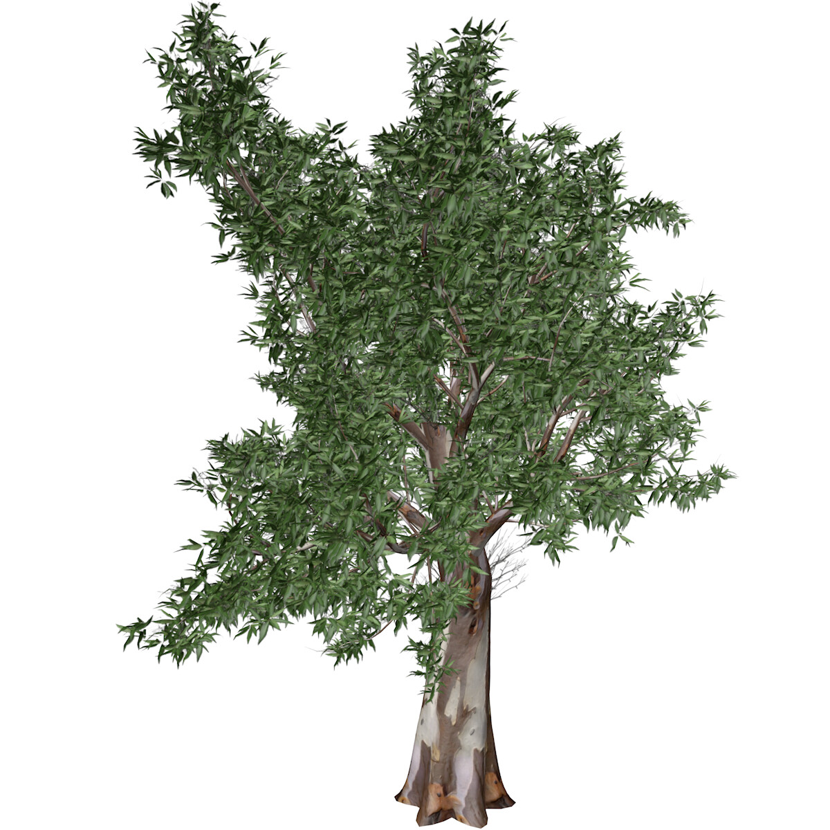 ArtStation - Red Gum Tree #03 - High Poly Tree (3D Model) | Game Assets