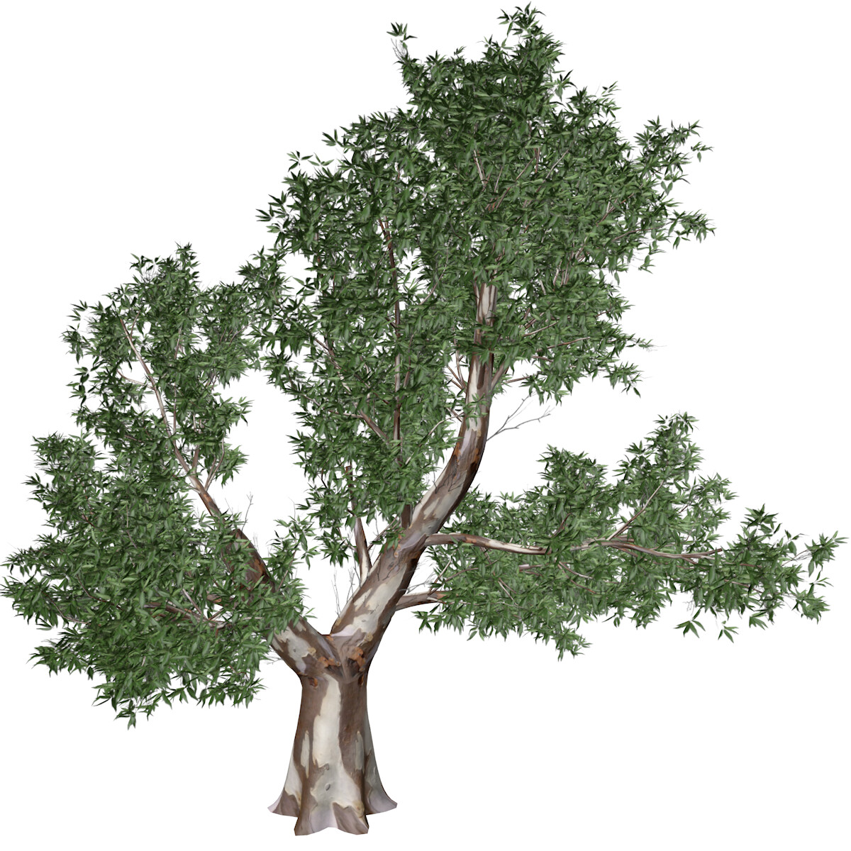 ArtStation - Red Gum Tree #09 - High Poly Tree (3D Model) | Game Assets