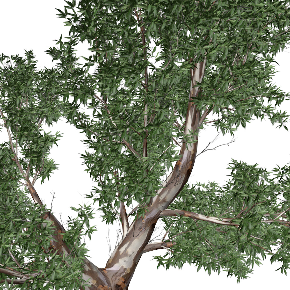 ArtStation - Red Gum Tree #09 - High Poly Tree (3D Model) | Game Assets