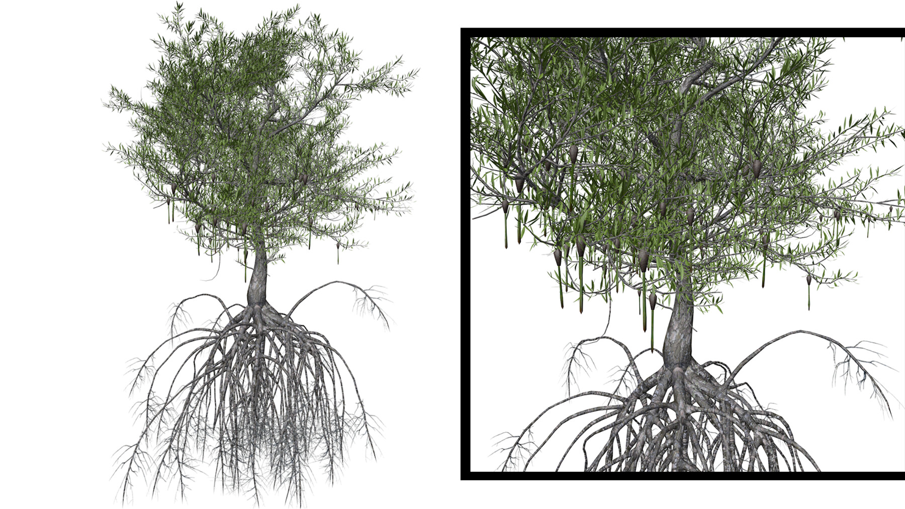 ArtStation - Red Mangrove Tree #05 - High Poly Tree (3D Model) | Game Assets