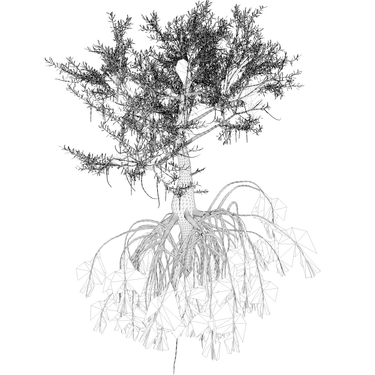 ArtStation - Red Mangrove Tree #10 - High Poly Tree (3D Model) | Game ...