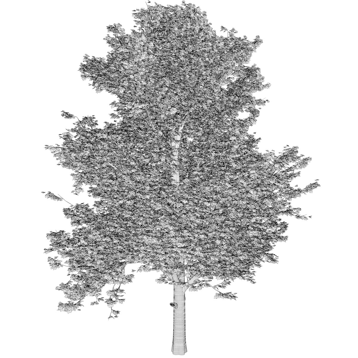 ArtStation - Red Maple Tree #03 - High Poly Tree (3D Model) | Game Assets