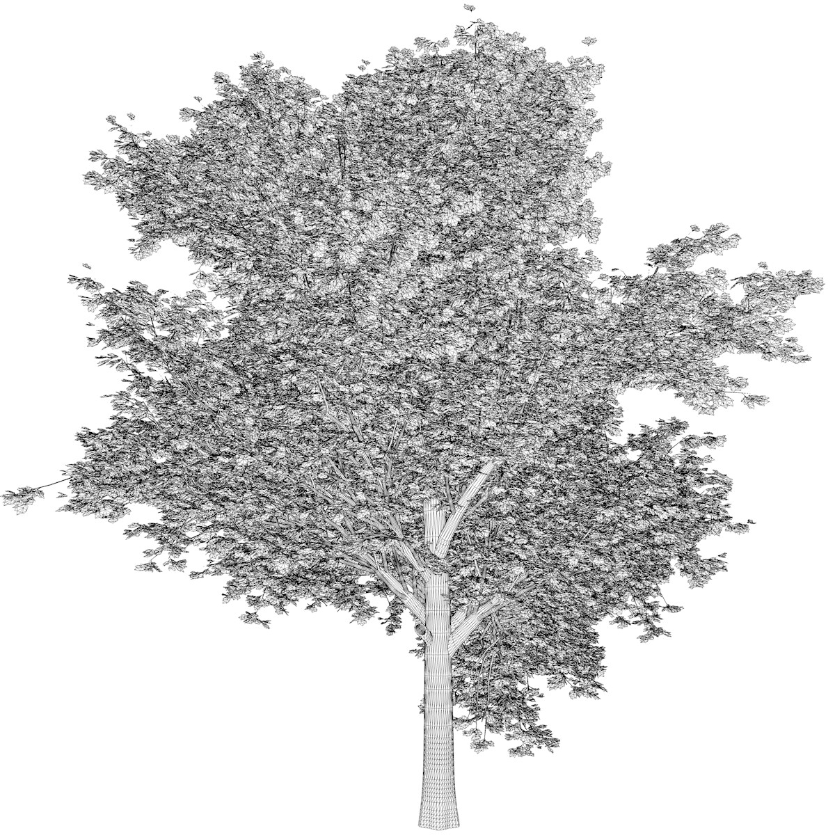 ArtStation - Red Maple Tree #05 - High Poly Tree (3D Model) | Game Assets