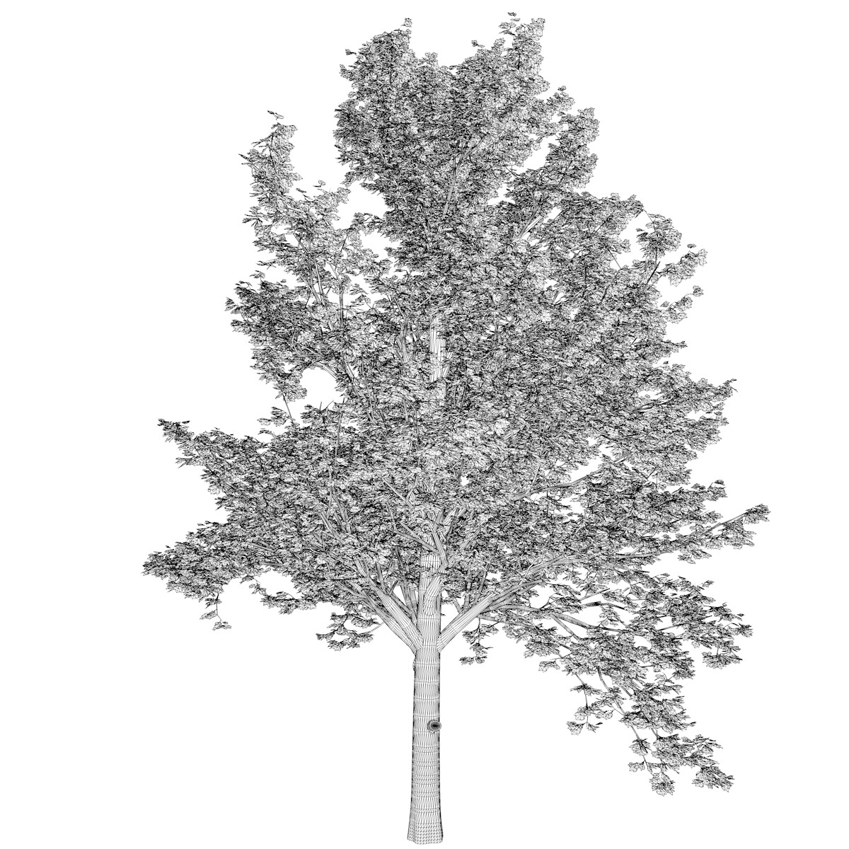 ArtStation - Red Maple Tree #10 - High Poly Tree (3D Model) | Game Assets