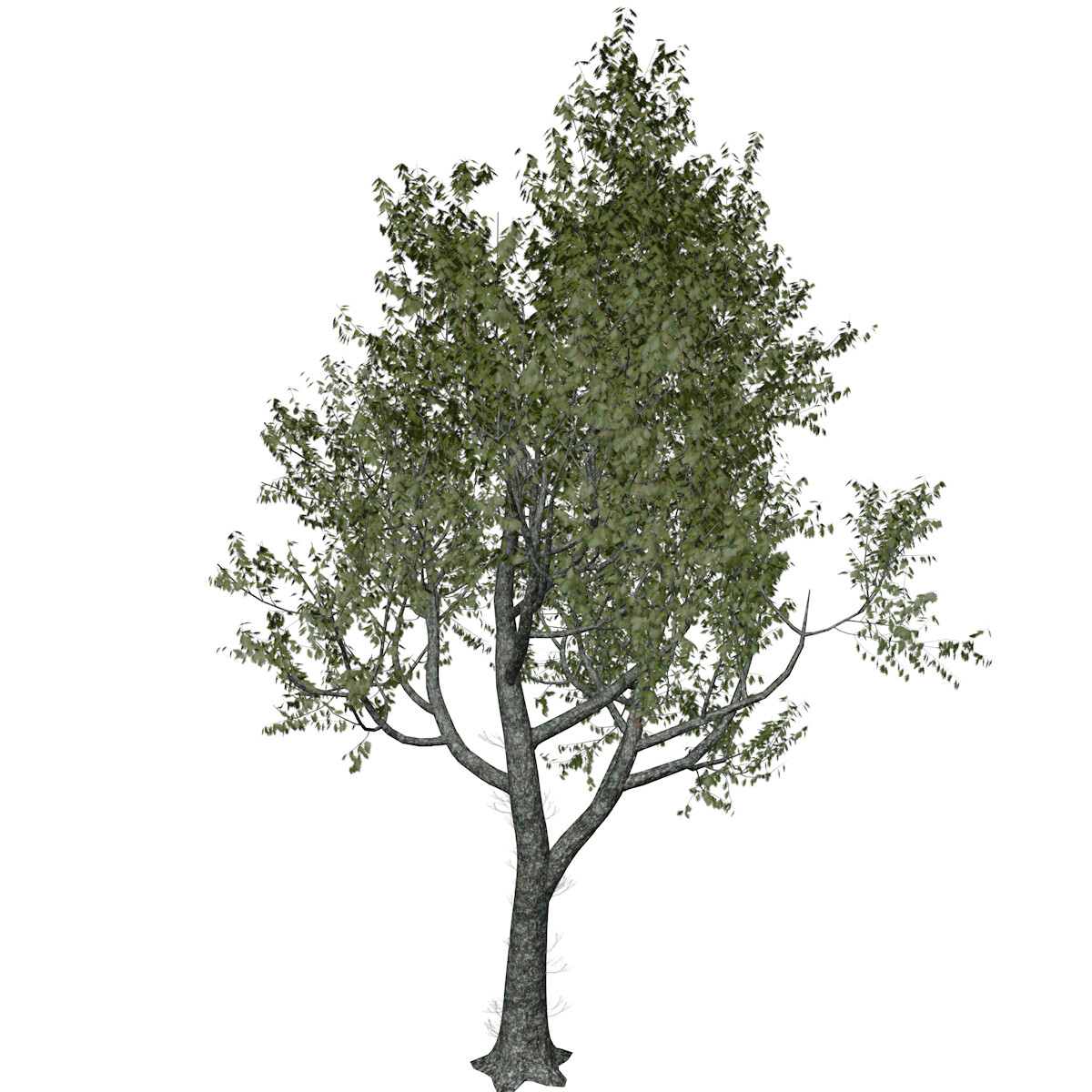 ArtStation - Red Oak Tree #07 - High Poly Tree (3D Model) | Game Assets