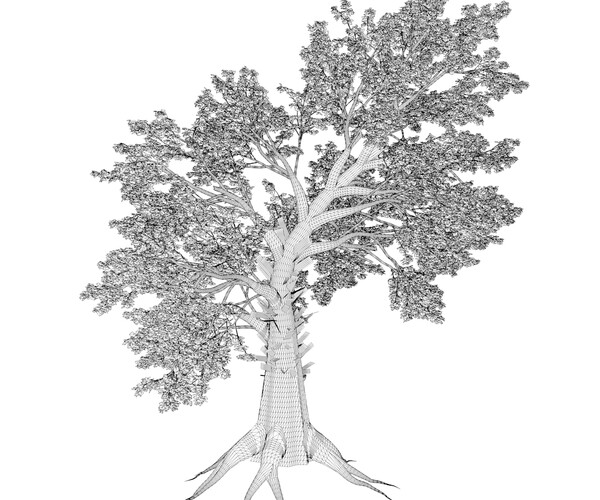 ArtStation - Sassafras Tree #08 - High Poly Tree (3D Model) | Game Assets