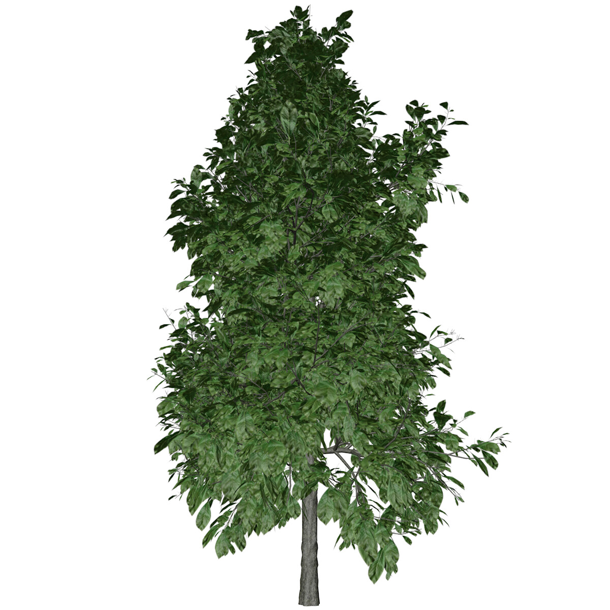 ArtStation - Sourwood Tree #04 - High Poly Tree (3D Model) | Game Assets