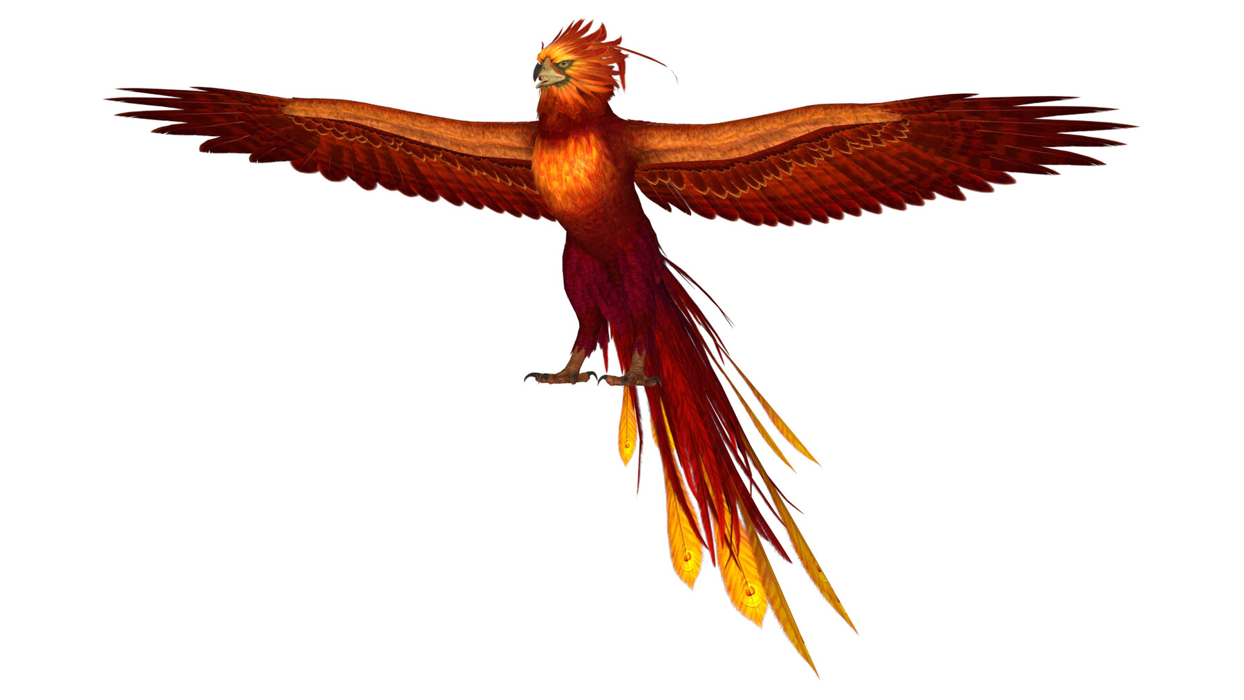 ArtStation - Fantasy Phoenix Eagle Bird | Resources