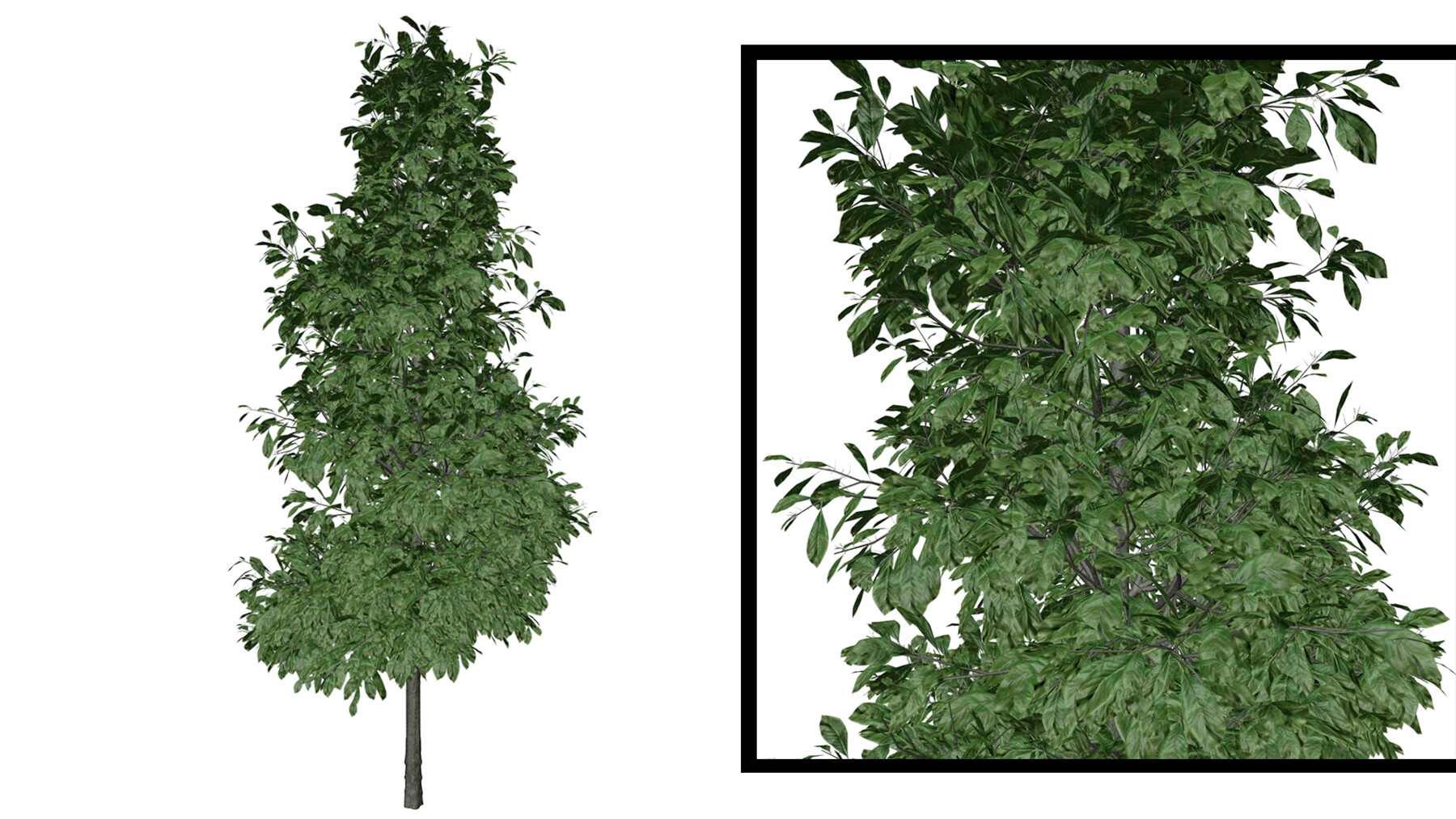 ArtStation - Sourwood Tree #05 - High Poly Tree (3D Model) | Game Assets