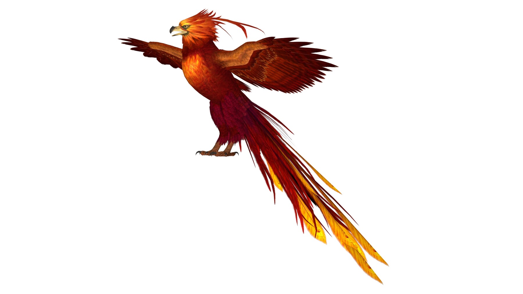 ArtStation - Fantasy Phoenix Eagle Bird | Resources