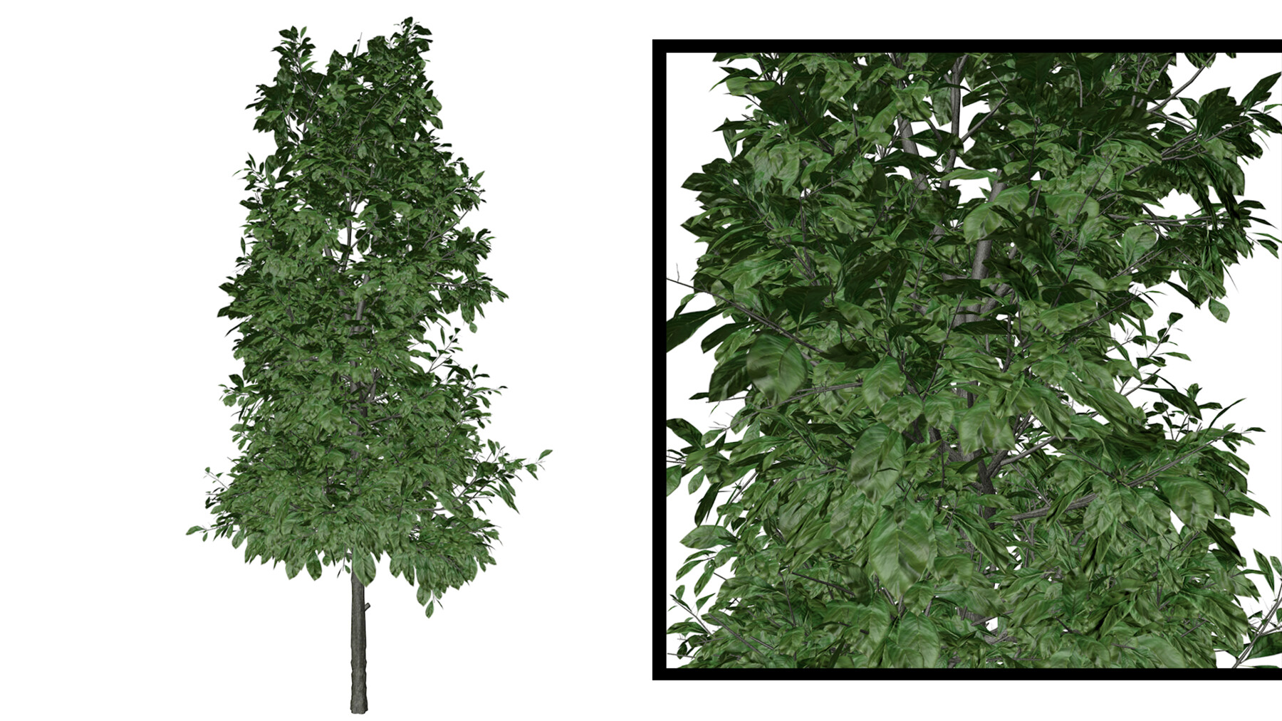 ArtStation - Sourwood Tree #08 - High Poly Tree (3D Model) | Game Assets