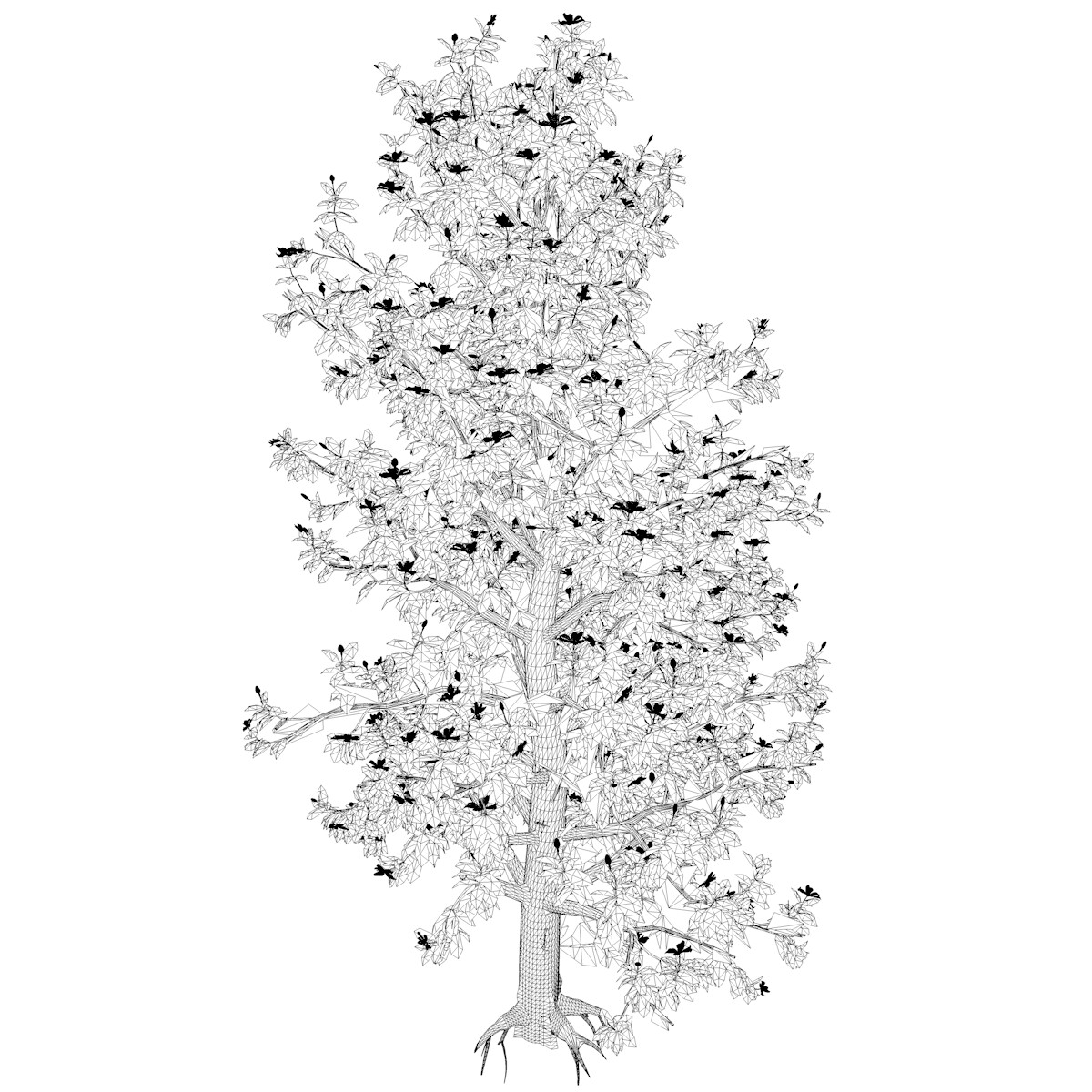 ArtStation - Southern Magnolia Tree #03 - High Poly Tree (3D Model ...