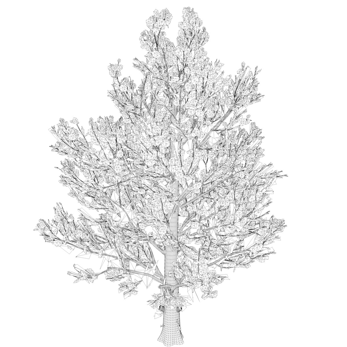 ArtStation - Sugar Maple Tree (in the Fall) #01 - High Poly Tree (3D ...