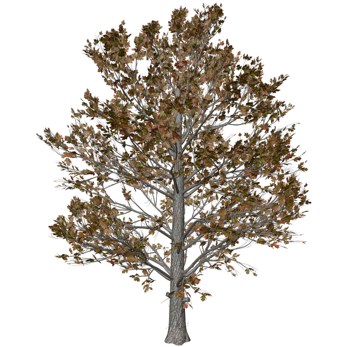 ArtStation - Sugar Maple Tree (in the Fall) #02 - High Poly Tree (3D ...