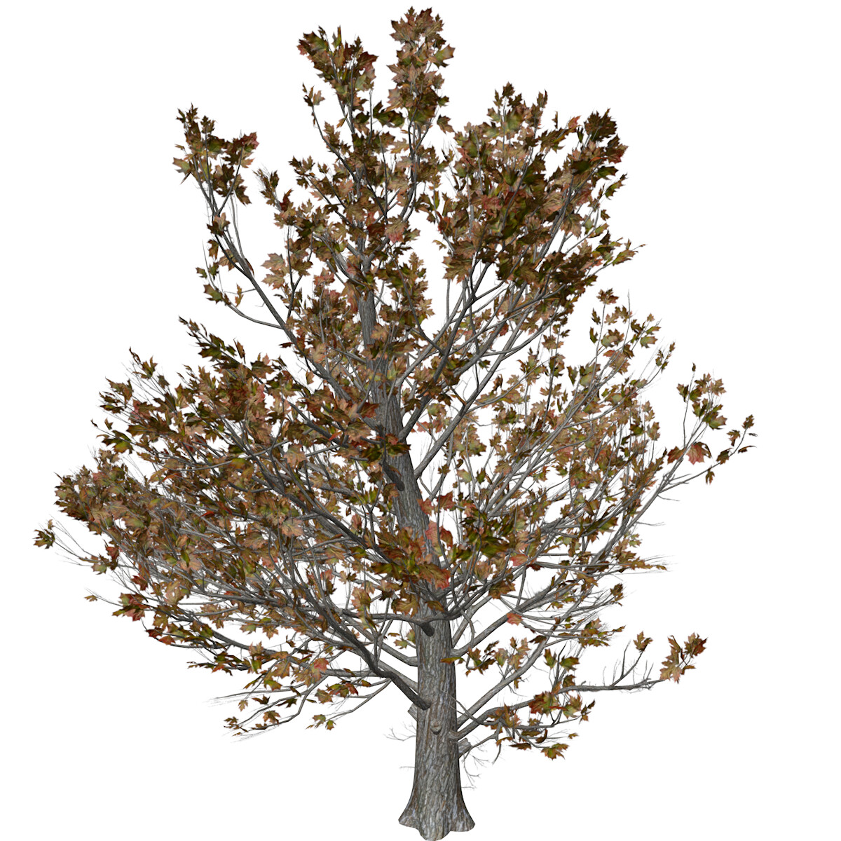 ArtStation - Sugar Maple Tree (in the Fall) #07 - High Poly Tree (3D ...