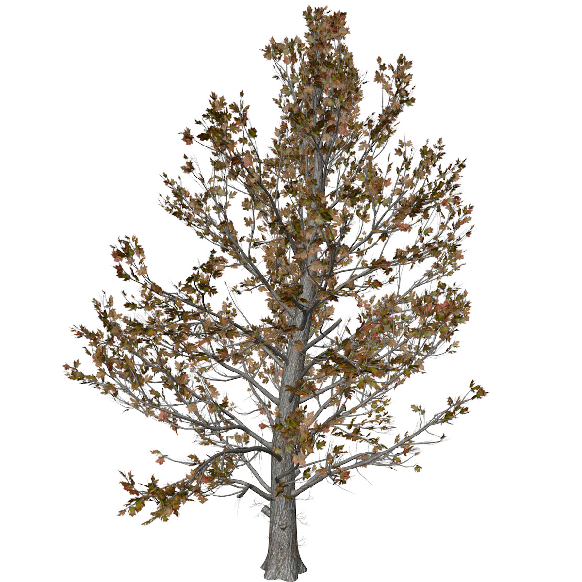 ArtStation - Sugar Maple Tree (in the Fall) #08 - High Poly Tree (3D ...