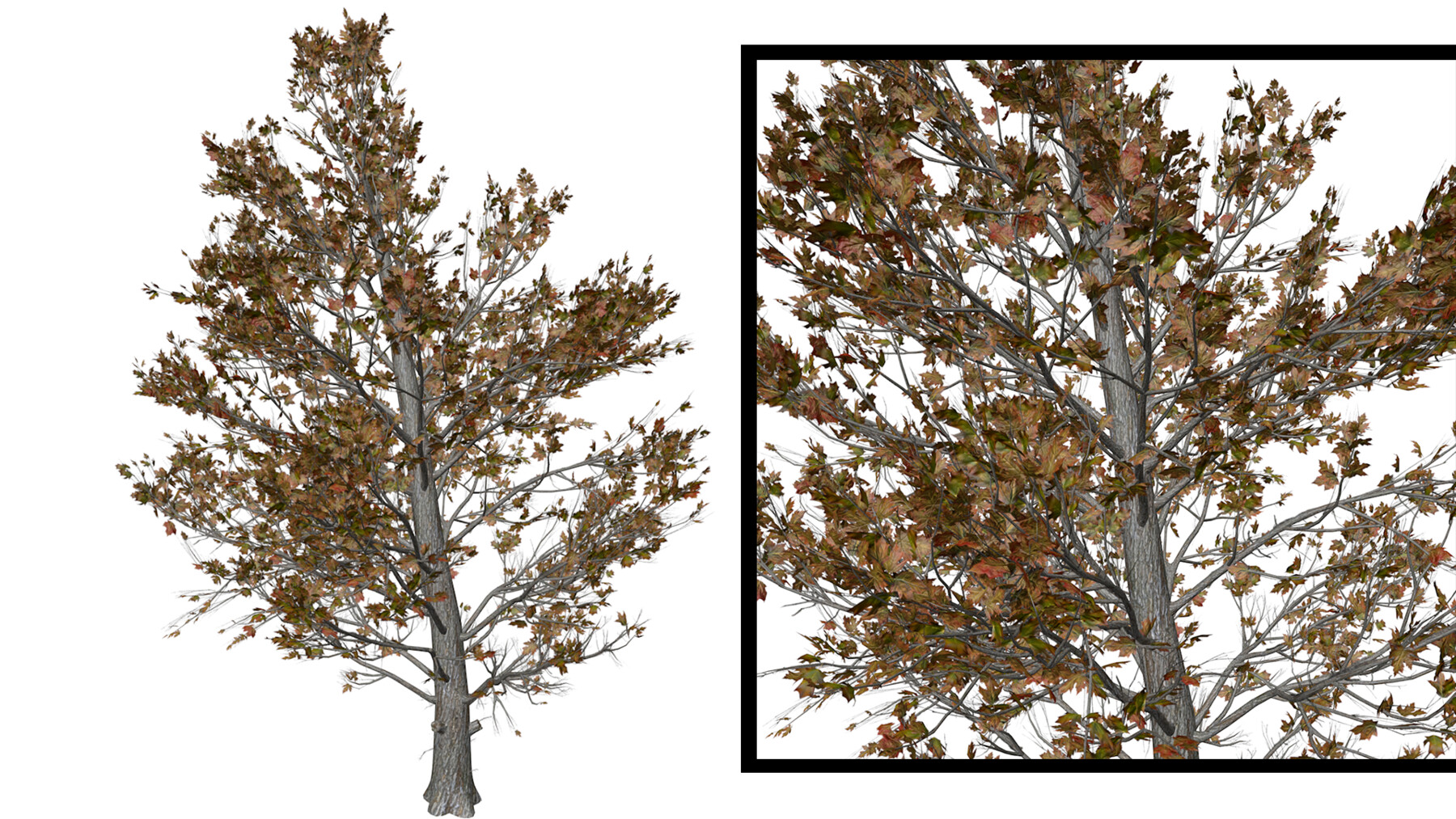 ArtStation - Sugar Maple Tree (in the Fall) #09 - High Poly Tree (3D ...