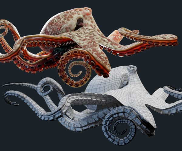 ArtStation - Octopus Maker | Game Assets