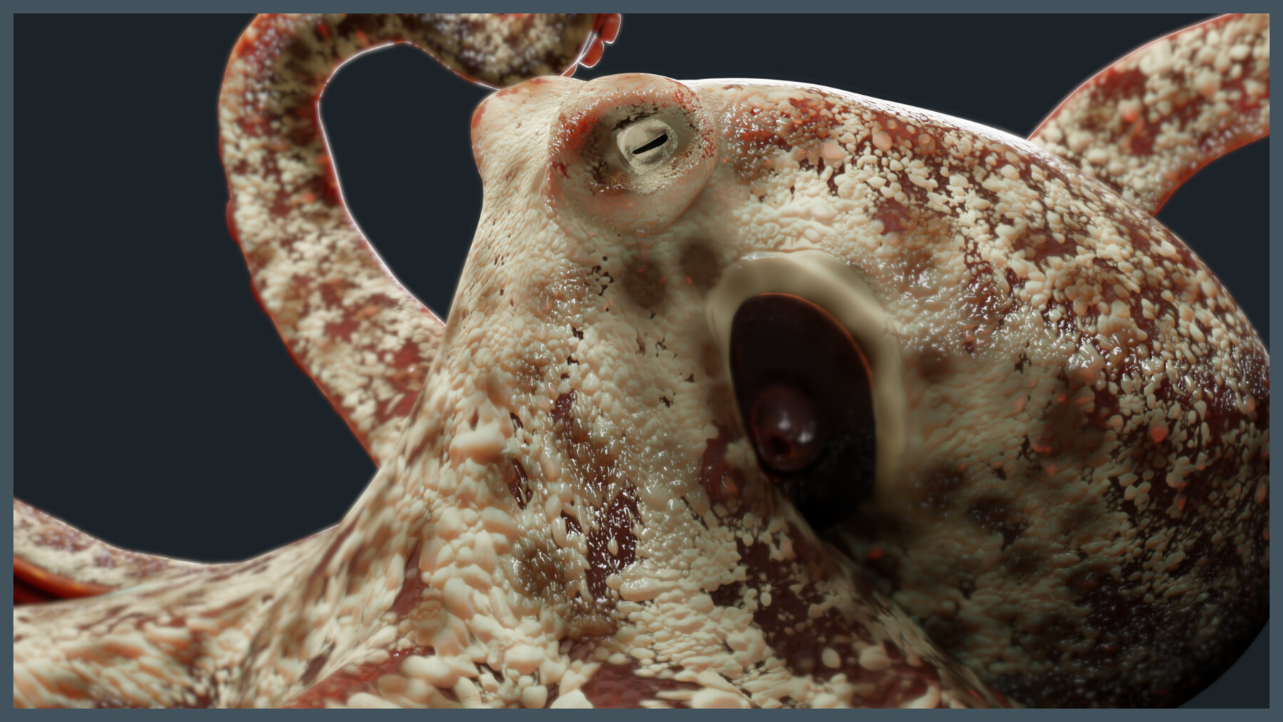ArtStation - Octopus Maker | Game Assets