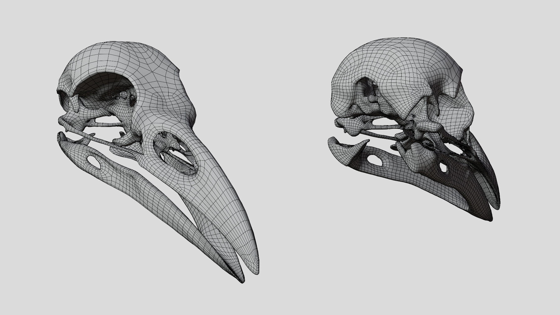 ArtStation - Raven skull | Game Assets