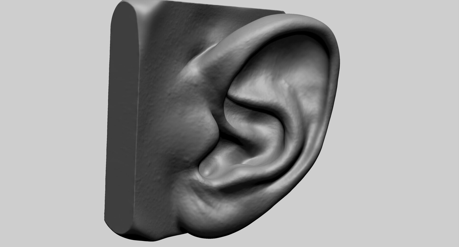 ArtStation - Ear Model B | Resources