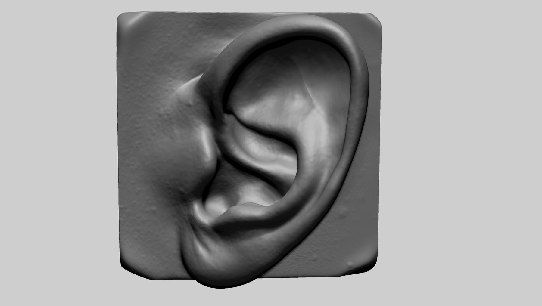 ArtStation - Ear Model B | Resources