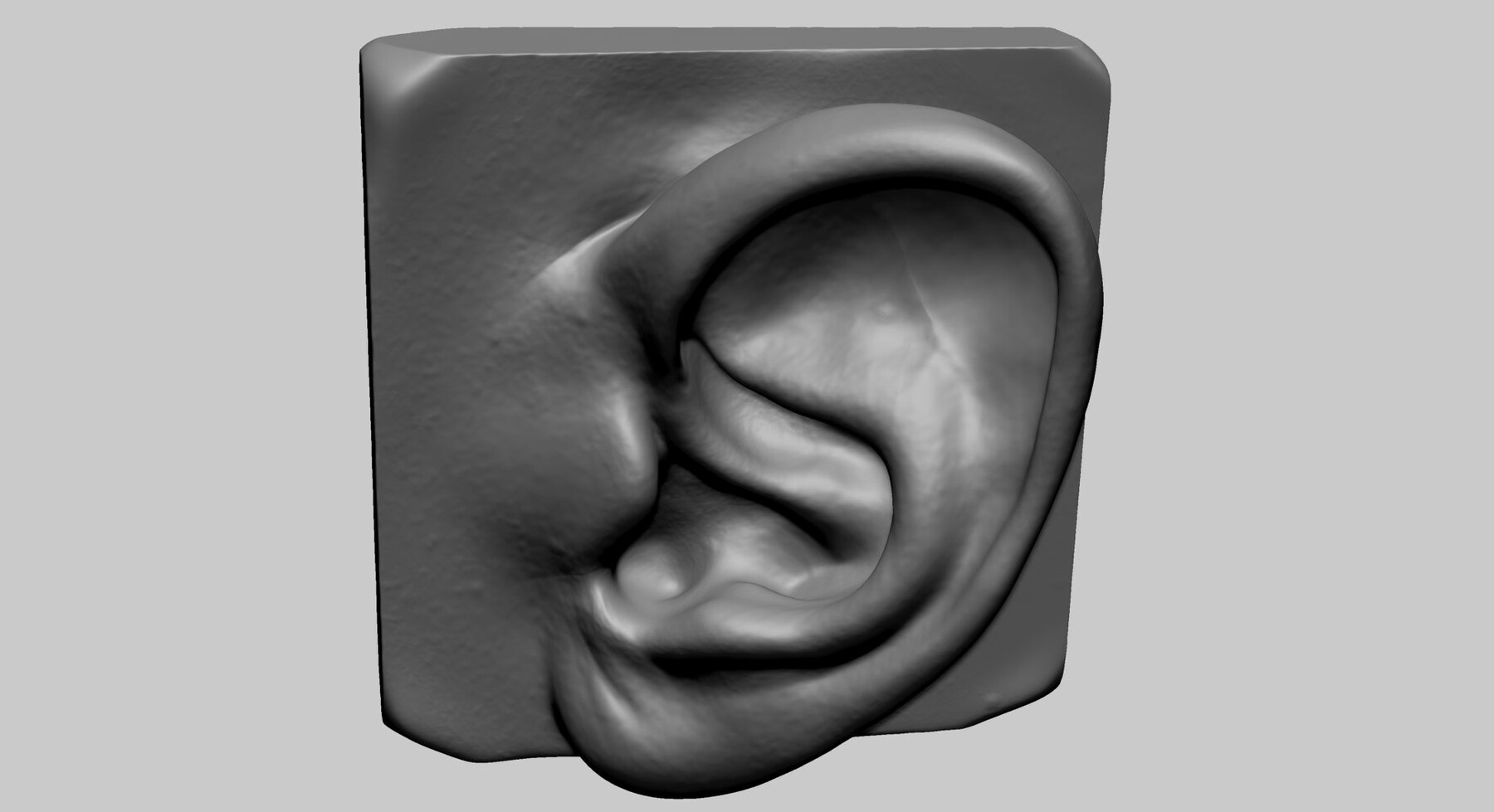 ArtStation - Ear Model B | Resources