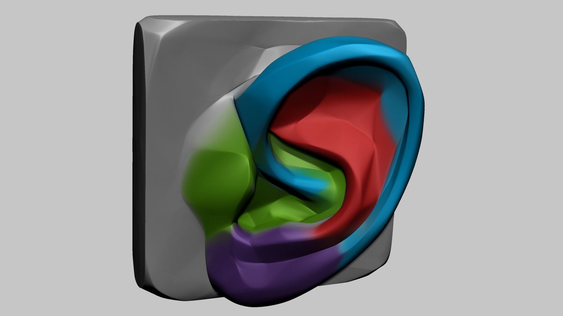 ArtStation - Ear Model B | Resources