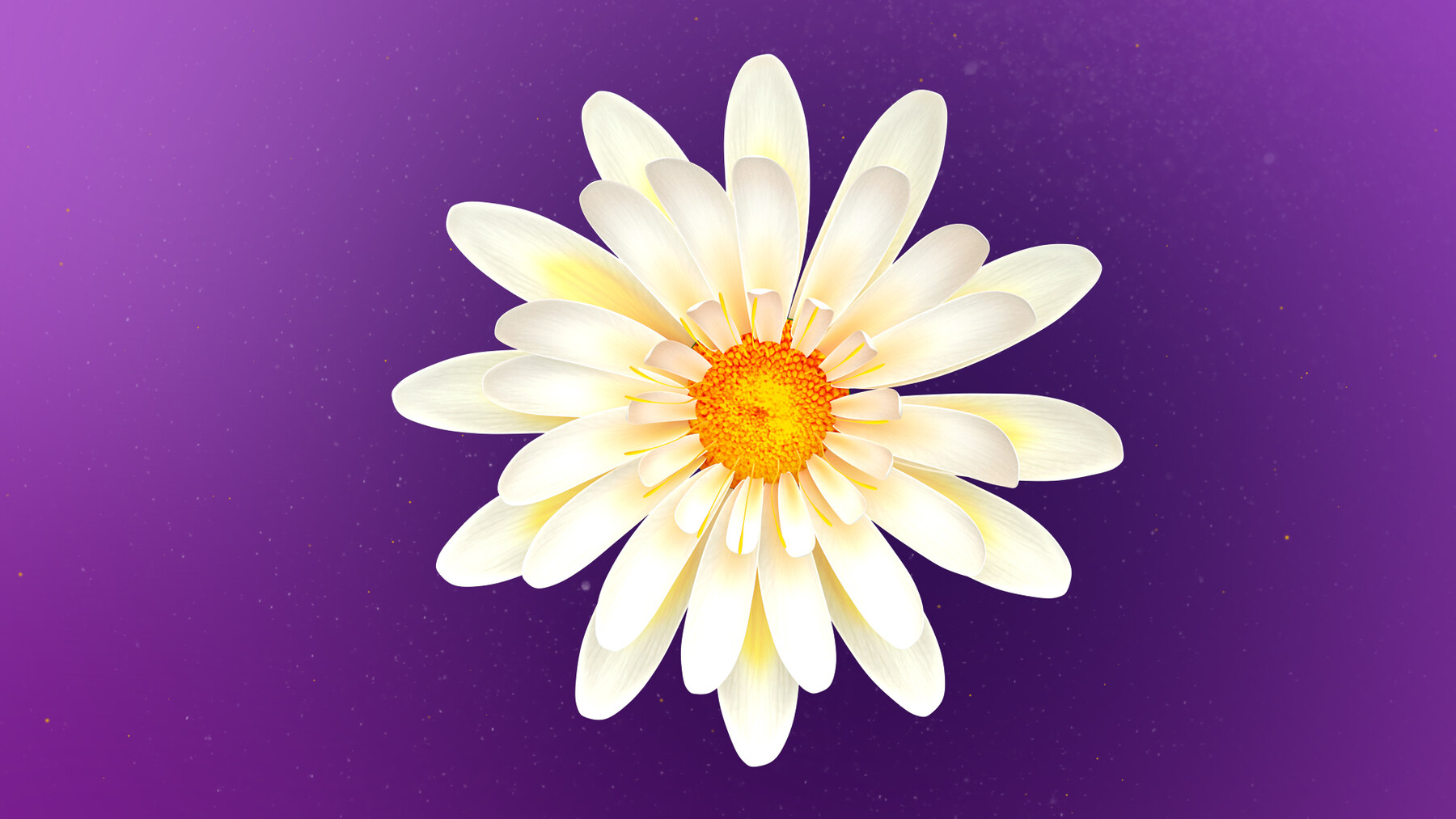 ArtStation - Beautiful Animated White Daisy Flower 3D model | Resources