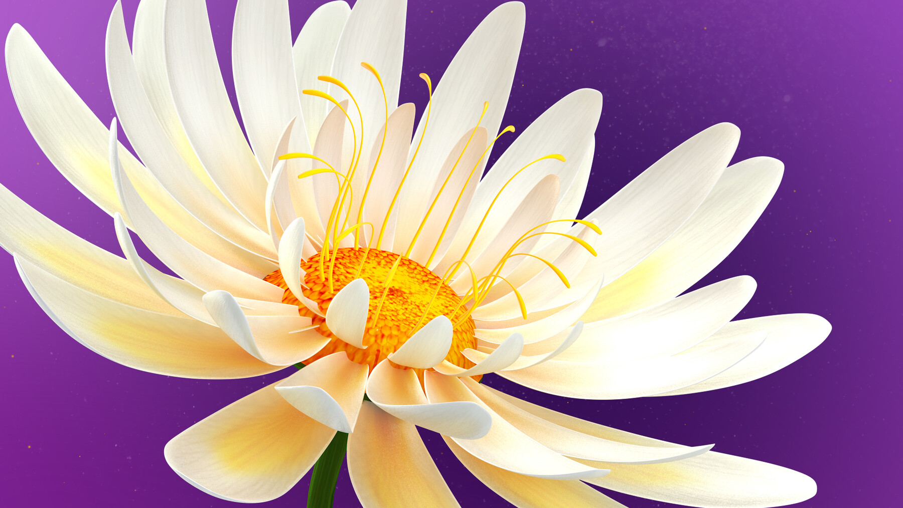 ArtStation - Beautiful Animated White Daisy Flower 3D model | Resources