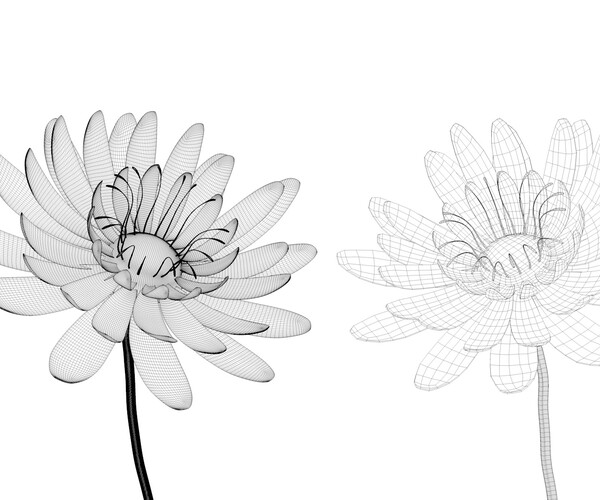 ArtStation - Beautiful Animated White Daisy Flower 3D model | Resources
