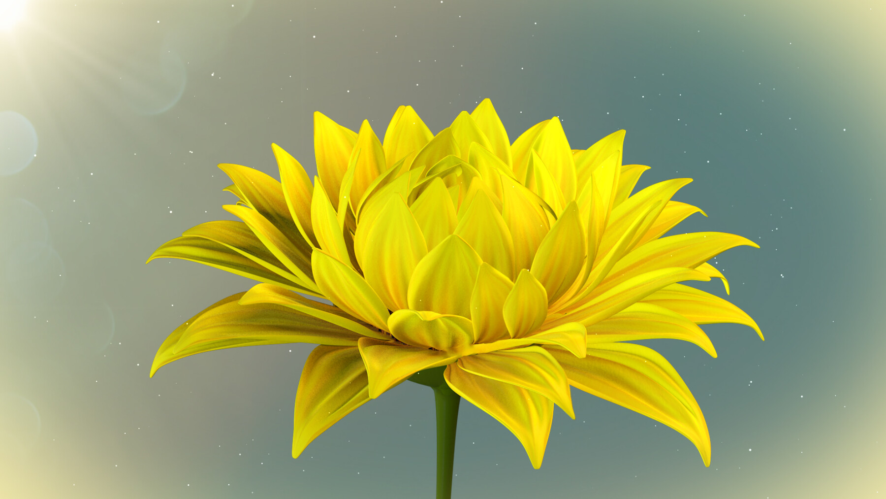 ArtStation - 3d Sunflower Animated | Resources