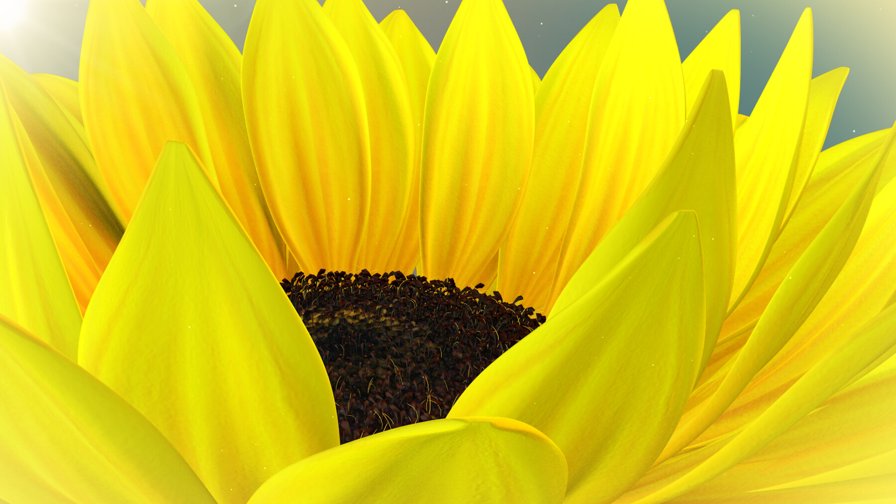 ArtStation - 3d Sunflower Animated | Resources