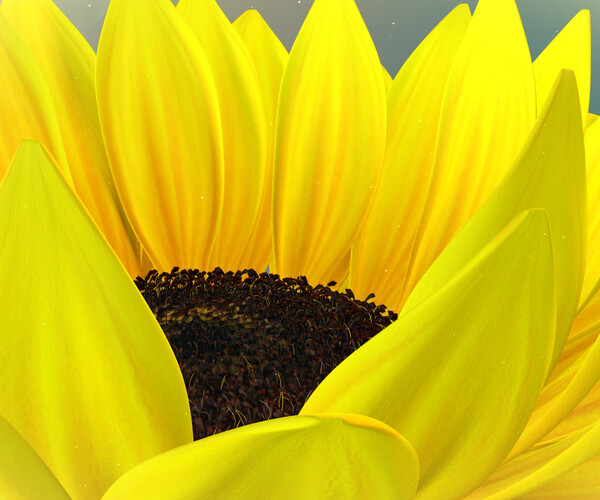 ArtStation - 3d Sunflower Animated | Resources