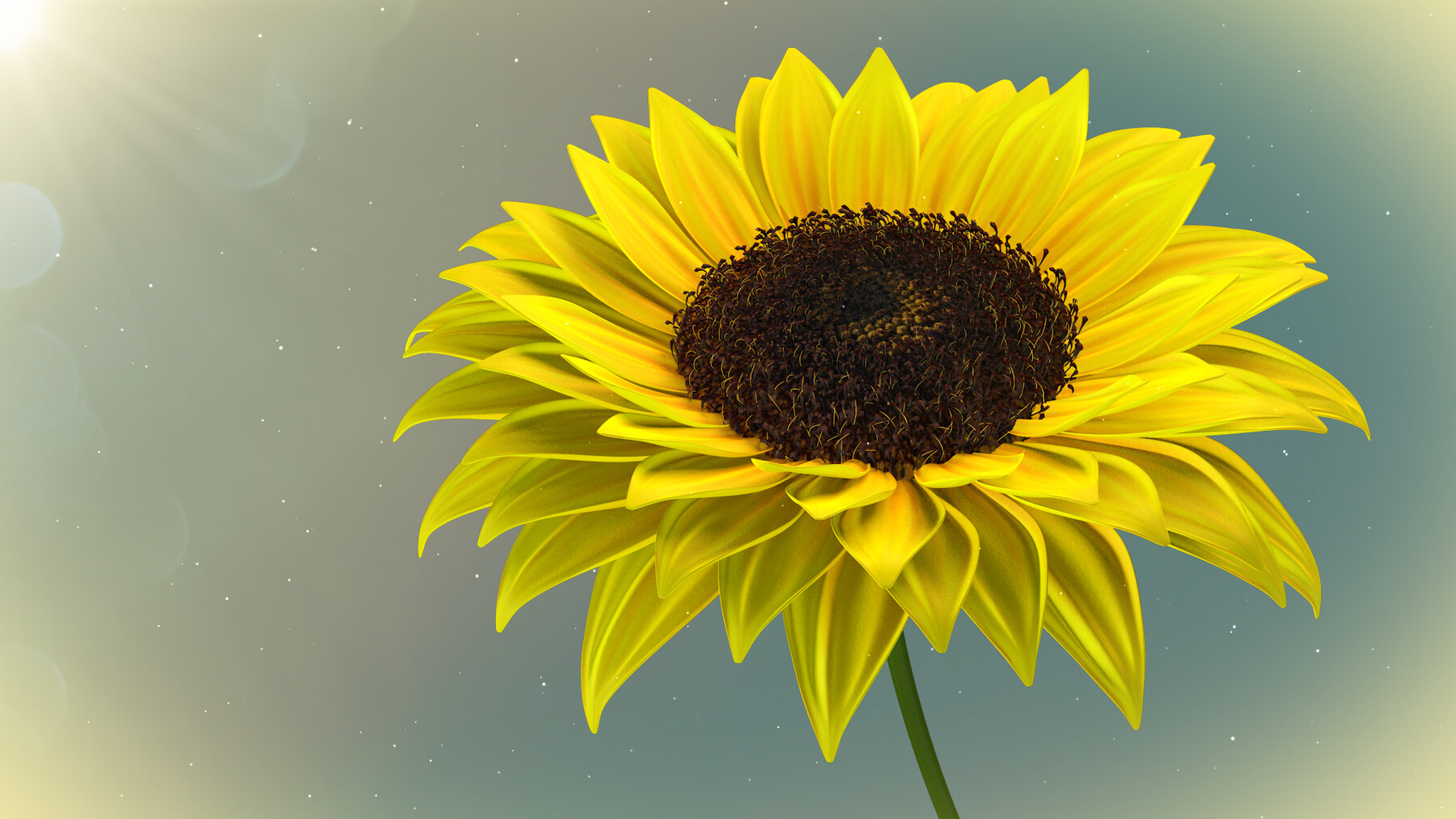 ArtStation - 3d Sunflower Animated | Resources