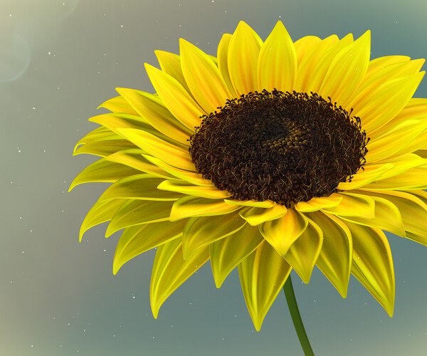 ArtStation - 3d Sunflower Animated | Resources