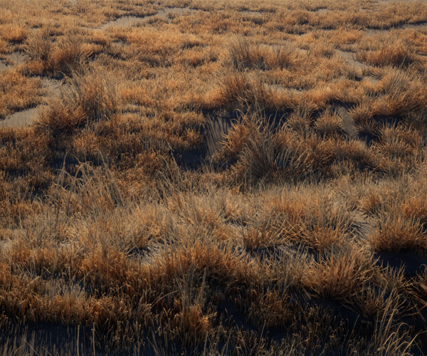 ArtStation - Grass Dry - Ready to use on UE5 - Game Ready | Game Assets