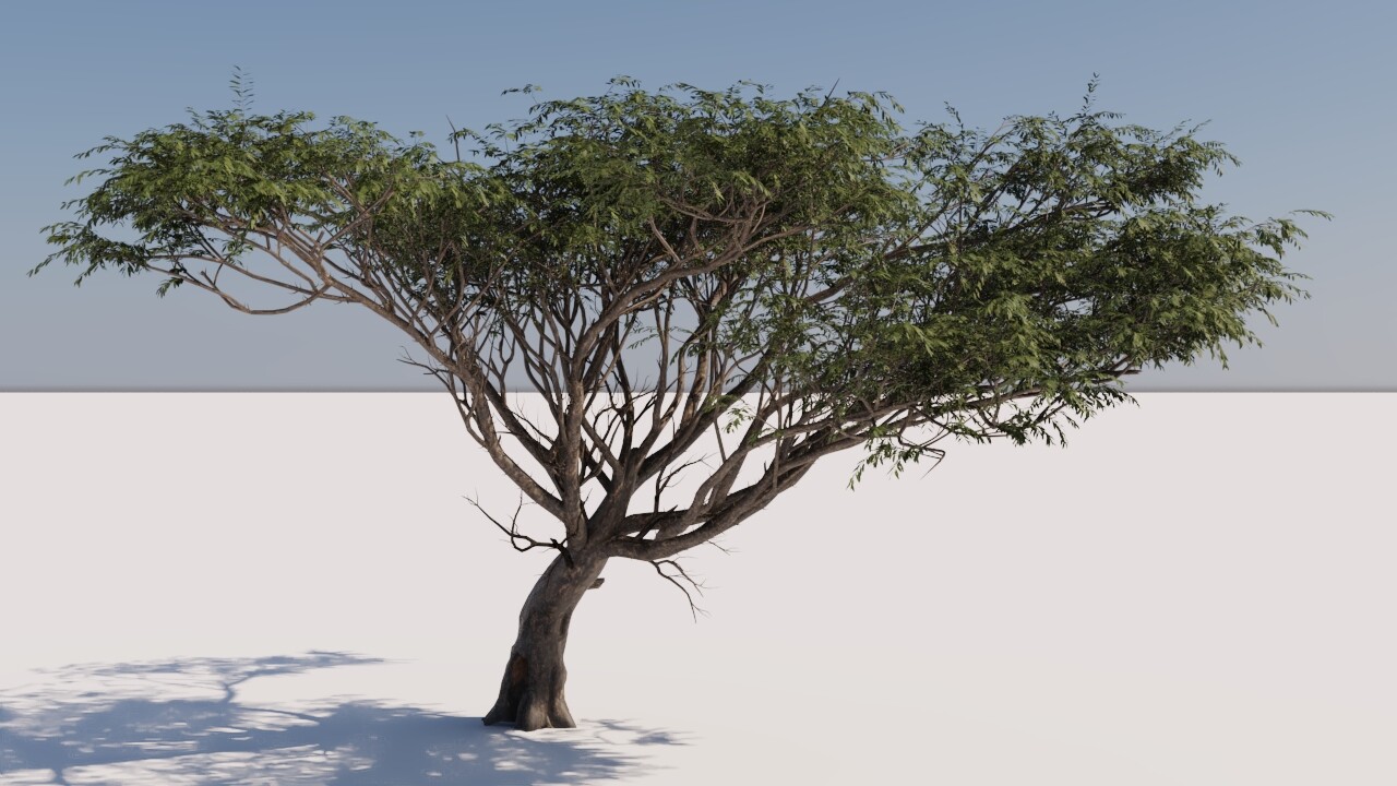 ArtStation - 3d Trees Pack | Resources