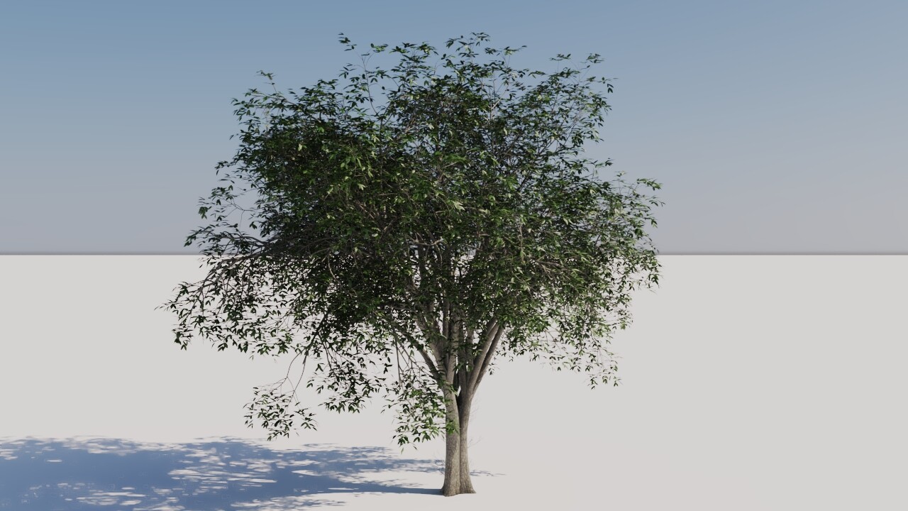 ArtStation - 3d Trees Pack | Resources