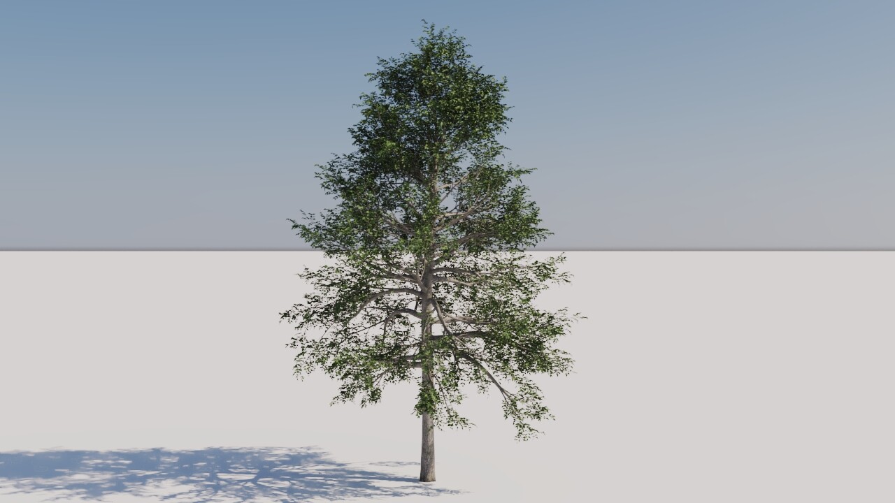 ArtStation - 3d Trees Pack | Resources