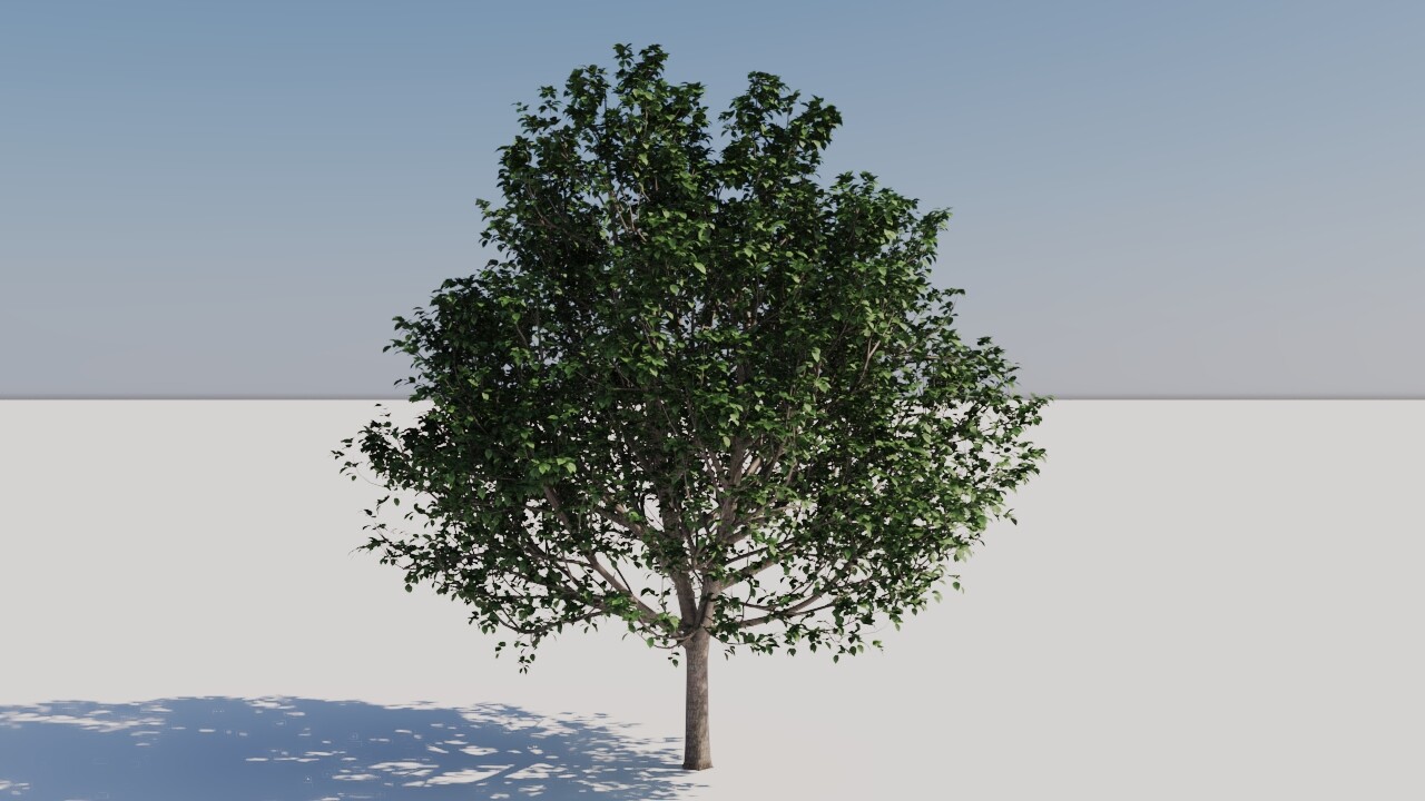 ArtStation - 3d Trees Pack | Resources