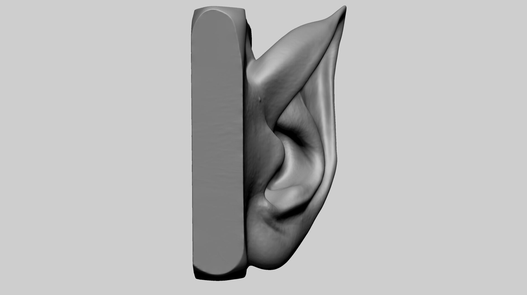 ArtStation - Ear Model C | Resources