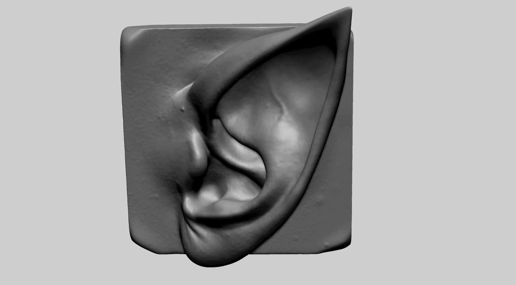 ArtStation - Ear Model C | Resources