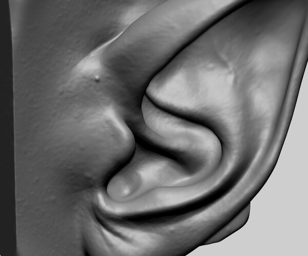 ArtStation - Ear Model C | Resources