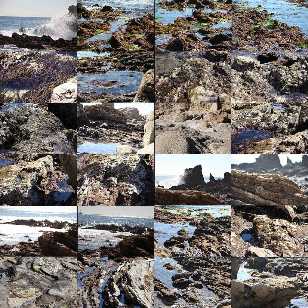 ArtStation - CALIFORNIA TIDE POOLS NATURE PACK | Resources