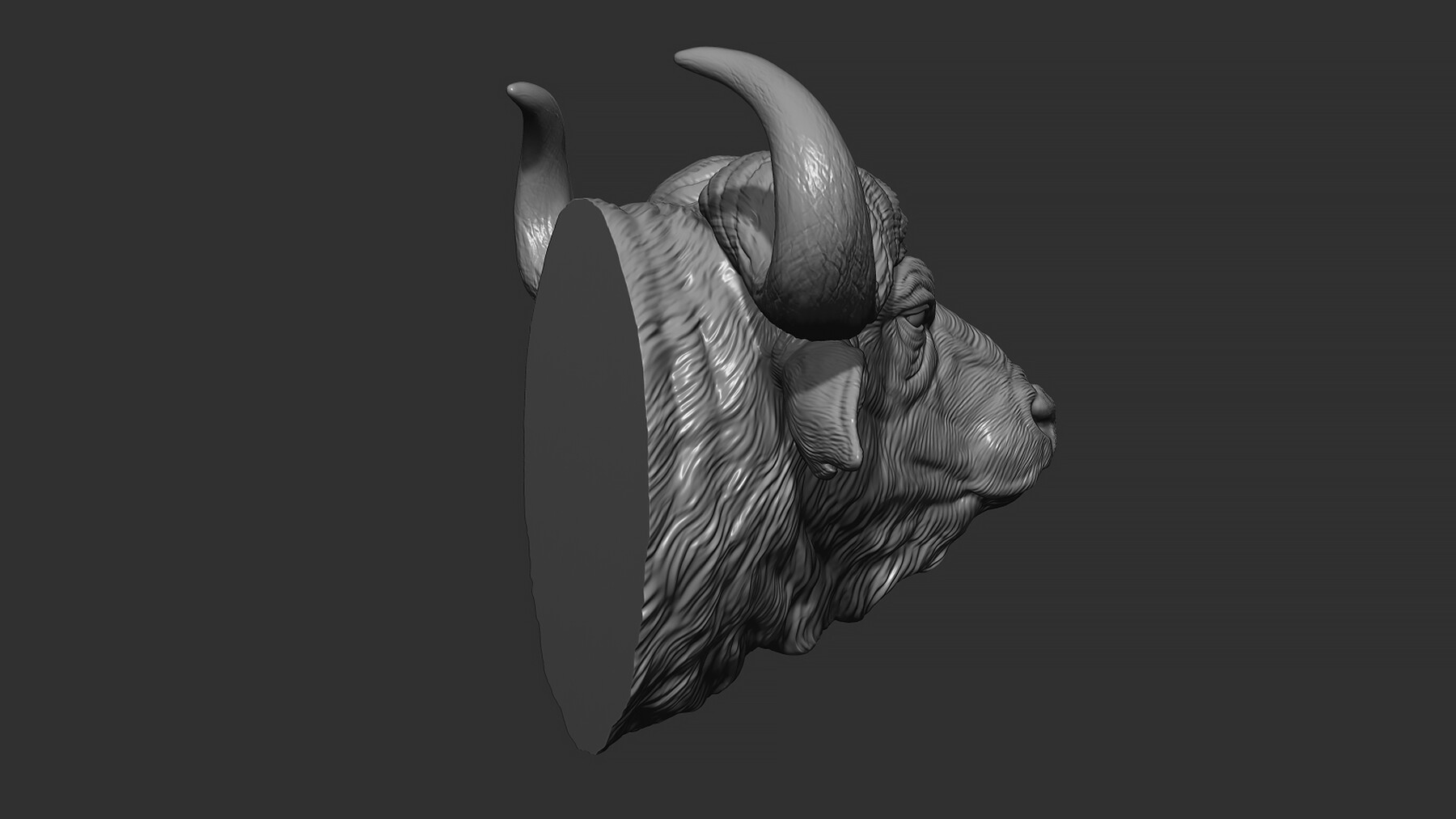 ArtStation - Buffalo shaggy head | Resources