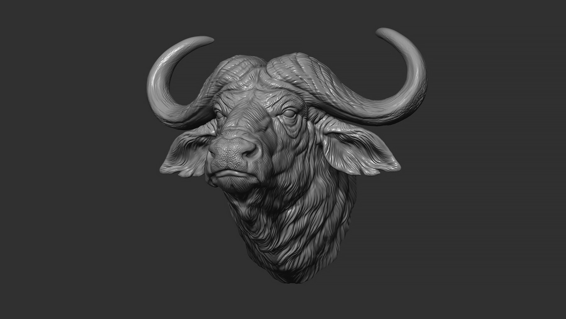 ArtStation - Buffalo shaggy head | Resources