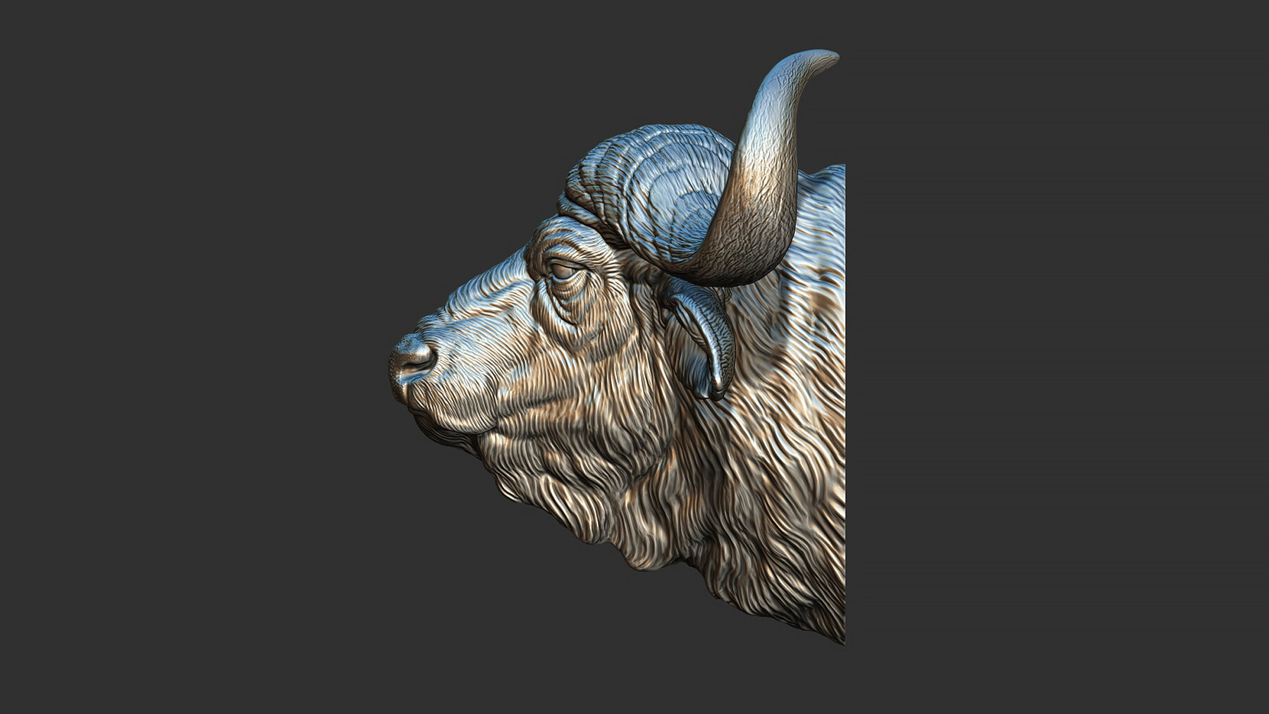 ArtStation - Buffalo shaggy head | Resources